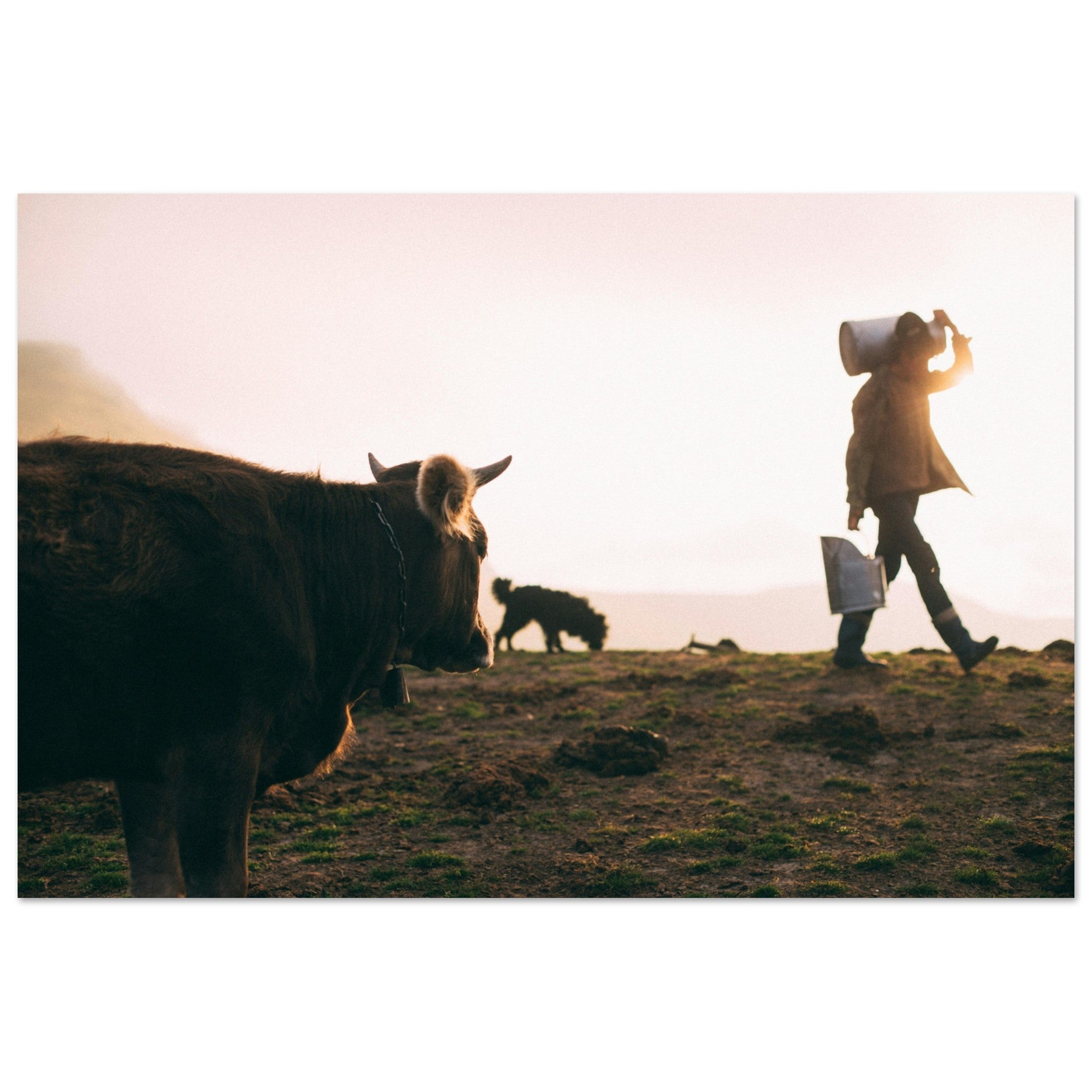 Photographic painting – Savoie: cow, breeder & dog – Tableaux photos ...